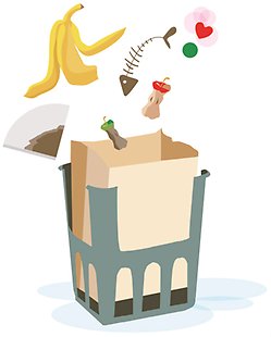 Så här slänger du ditt matavfall rätt - Strömsunds kommun